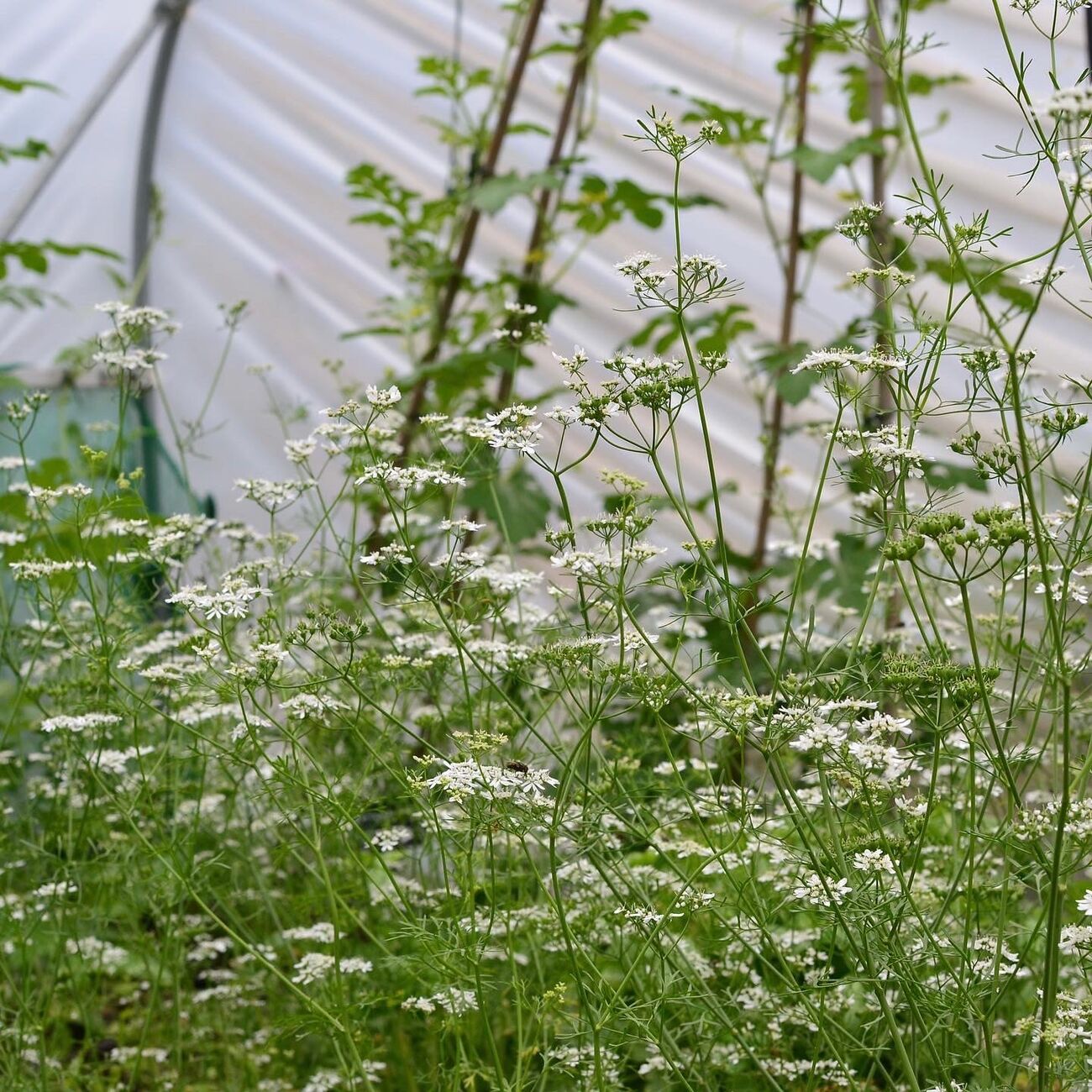 Balham Library | Welcome to Wandsworth