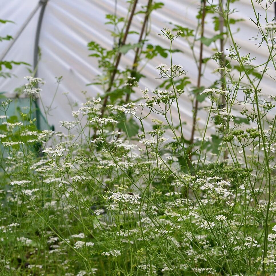 Balham Library | Welcome to Wandsworth