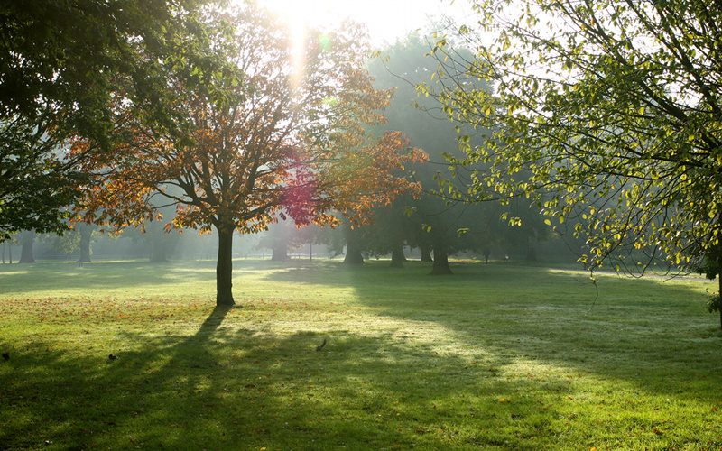 Tooting Common | Welcome to Wandsworth